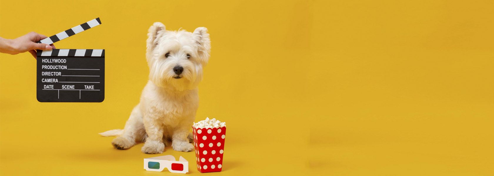 ¿Conoces los perros más famosos del cine? - Blog Guaw